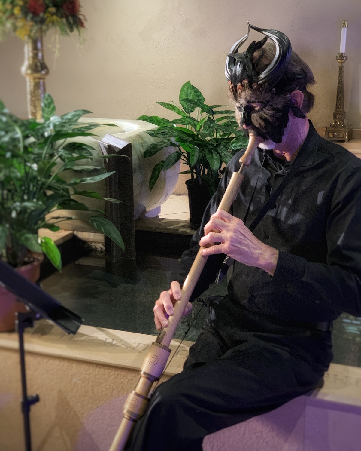 Piffaro presents music for Twelfth Night » Early Music America