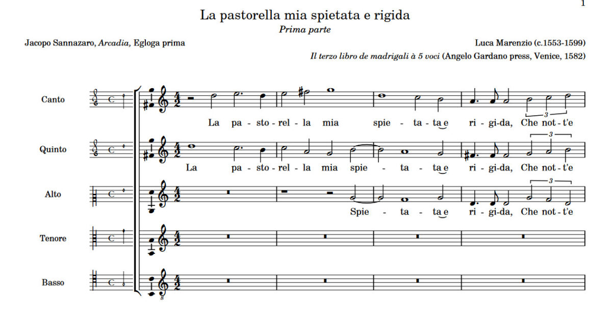 Art of the Amateur: A Computer Programmer Uploads a Lifetime of ...